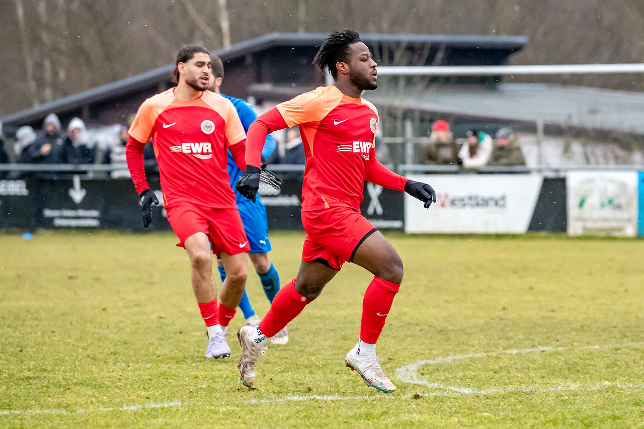 Die Sommertransfers 25/26 - Palz Sport